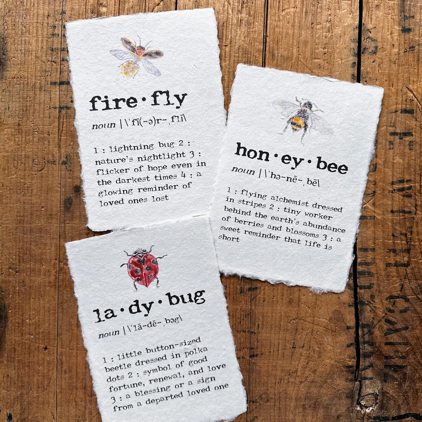 firefly definition print in typewriter font on handmade paper– Alison ...