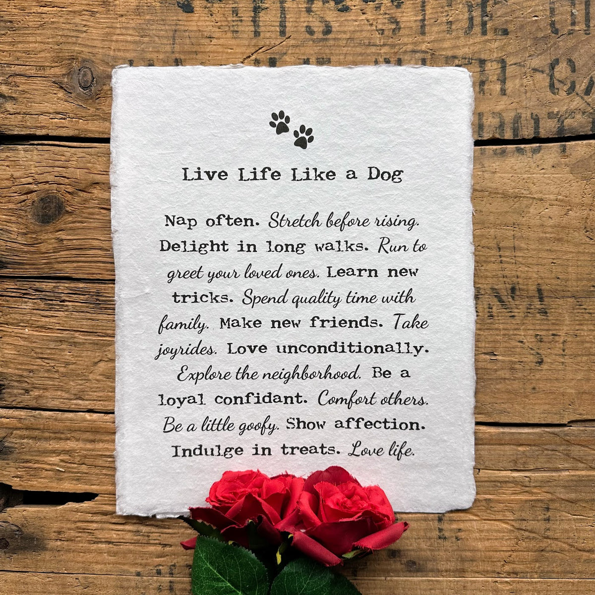 Live Life Like a Dog print in typewriter and script font on handmade p ...