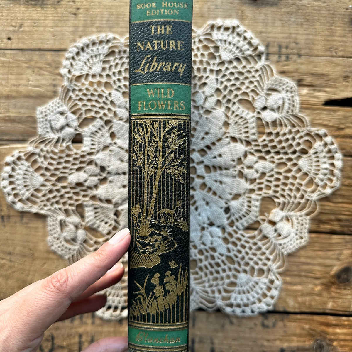 Antique & Vintage Books– Alison Rose Vintage