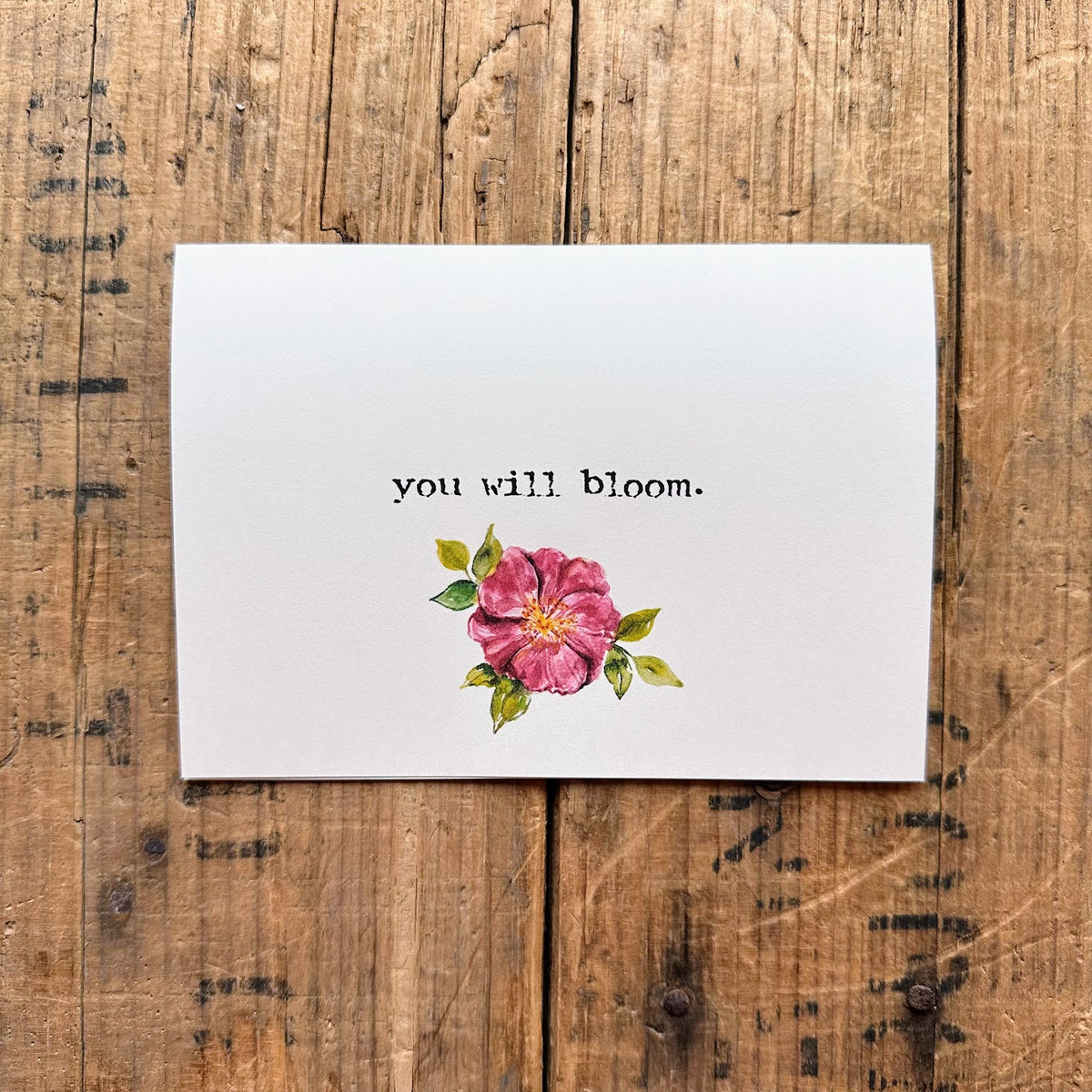 you will bloom compliment greeting card– Alison Rose Vintage